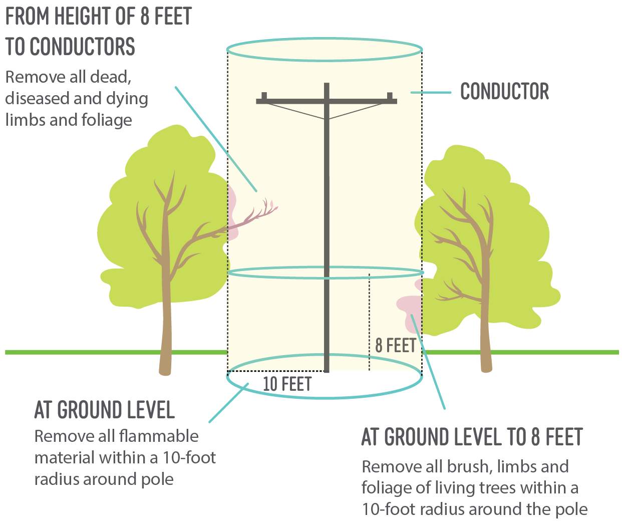 Power Lines & Trees | Safety | Home - SCE